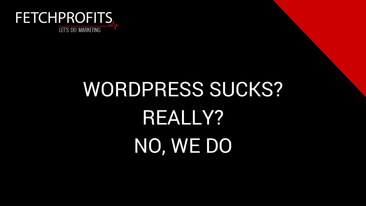 Wordpress Sucks No It Doesn T But We Do Fetchprofits