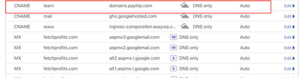How to Add Custom Domain On Payhip