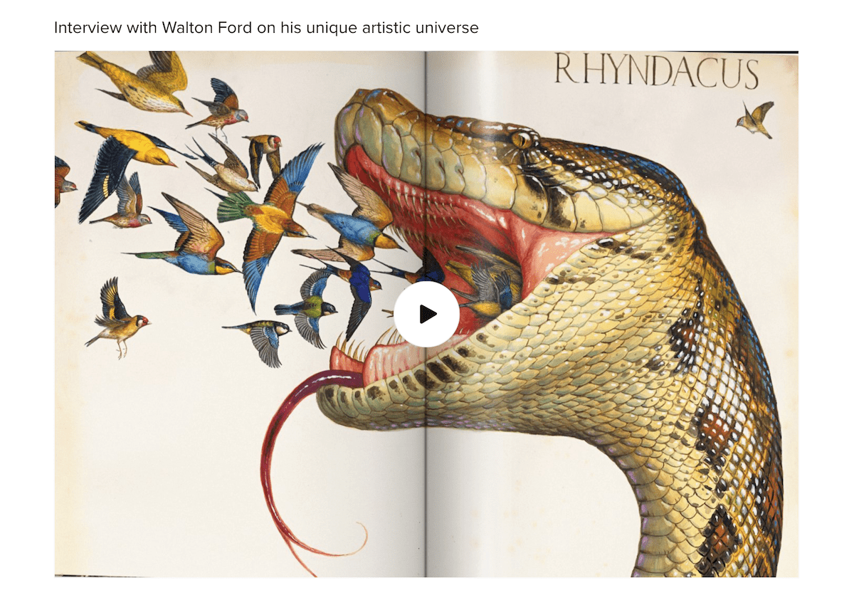 Payhip Features: Themes, Site Sections & More - fetchprofits