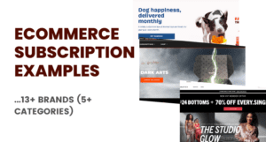 ECommerce Subscription Examples: 13+ Brands [5 Categories]